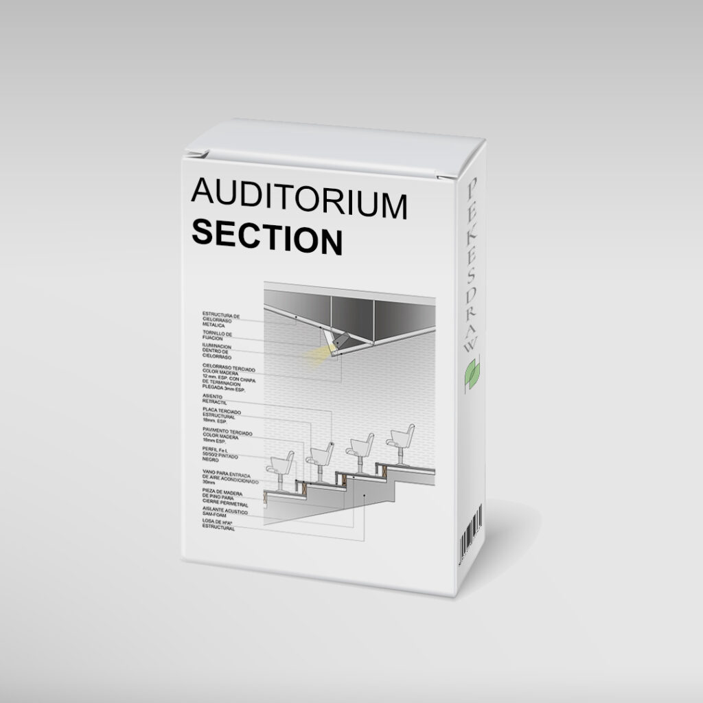 Auditorium Section Detail - CAD & PSD - Pekesdraw Auditorium Section Detail